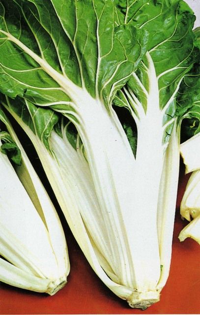 Bietola da costa, concimi e biostimolanti per ortaggi da foglia | ILSA ...