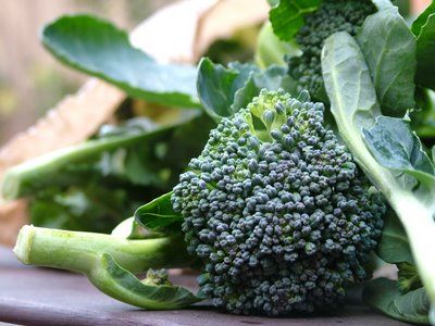 Broccoletto di rapa, concimi e biostimolanti per ortaggi da foglia ...